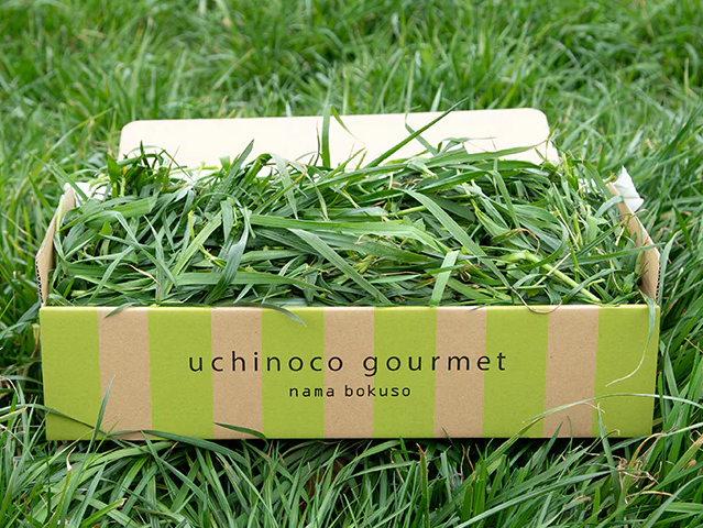 「uchinoco gourmet」誕生秘話 – uchinoco gourmet® オンラインショップ